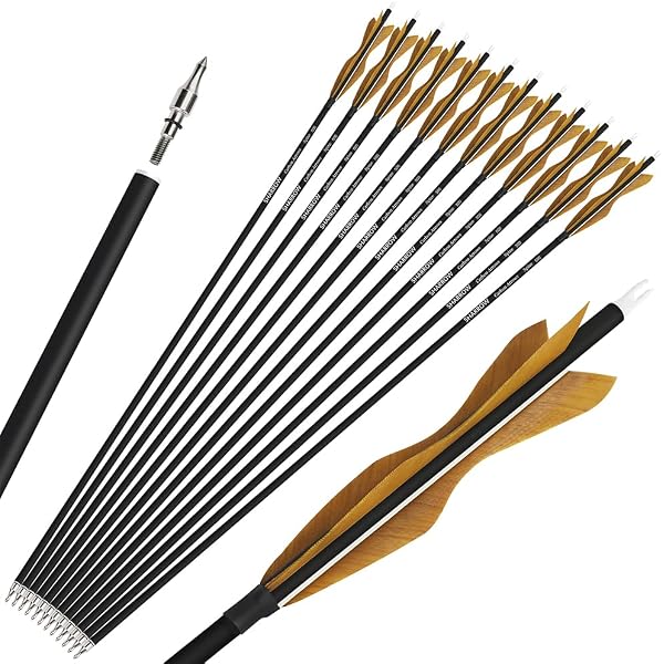 Carbon Arrows Spine 350 ACCMOS 12-Pack Carbon Arrows - 6.2mm ID, Spine ...