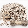 Amazon.com: Mini Clothes Pins, 260 PCS Small Wooden Clothes Pin with ...