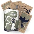 Transient Light Tarot: An 81-Card Deck and Guidebook: Wisner, Ari ...