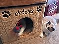 Amazon.com : Collapsible Cat House, Cat Cube with Soft Mat for Small ...