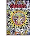 Amazon.com: Sublime Sun Paper Art Poster and Wall Art Picture Print ...
