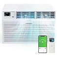 Amazon.com: ROVSUN Smart 8000 BTU Through the Wall Air Conditioner with ...