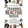 Training Reactive Dogs: Strategies for Positive Reinforcement ...