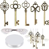 Amazon.com: SANNIX 48 Pcs Vintage Skeleton Keys Flying Keys Charms with ...