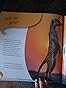 Animal Tails: A different look at the animal kingdom: Harris, Tim ...