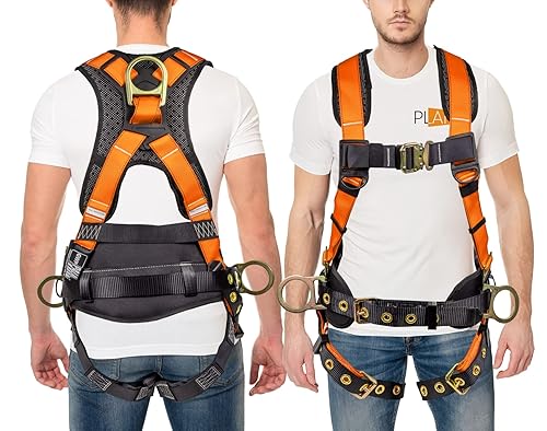 Palmer Safety ATERET Full Body 5 point Harness, Padded Back Support ...