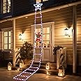 Amazon.com: ROCEEI Christmas Decorative Ladder Lights with Climbing ...