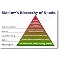 Amazon.com: Maslows Hierarchy of Needs - NEW Classroom Science Poster ...
