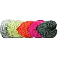 Amazon.com: Caron Yarn X Pantone, Fuchsia Plume