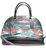 COACH MINI SIERRA SATCHEL WITH BIRD F22254 BLACK: Handbags: Amazon.com