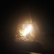 Flamefast Instant Light Smokeless Fire Logs - Case of 12 Logs: Amazon ...