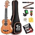 Amazon.com: Donner Concert Ukulele Mahogany 23 Inch Ukelele Starter ...