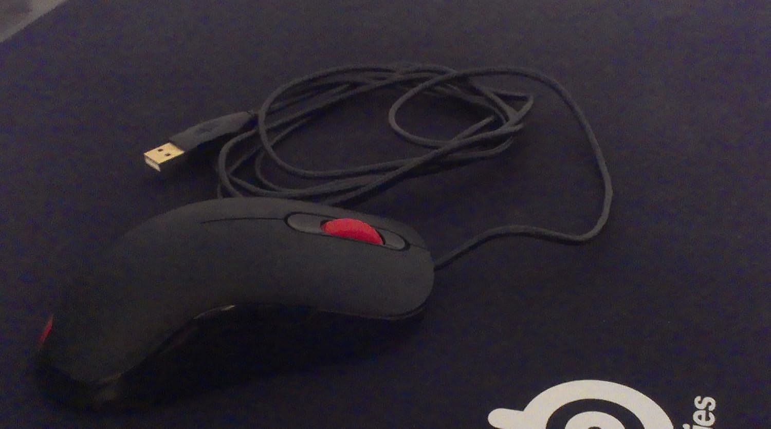Zowie AM-GS Pro Gaming Mouse - Black: Amazon.co.uk: Computers & Accessories