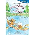 Amazon.com: Houndsley and Catina Plink and Plunk: Candlewick Sparks ...