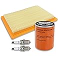 Amazon.com: 6485 Maintenance Kit Includes 070185E Oil Filter, 0J8478S ...