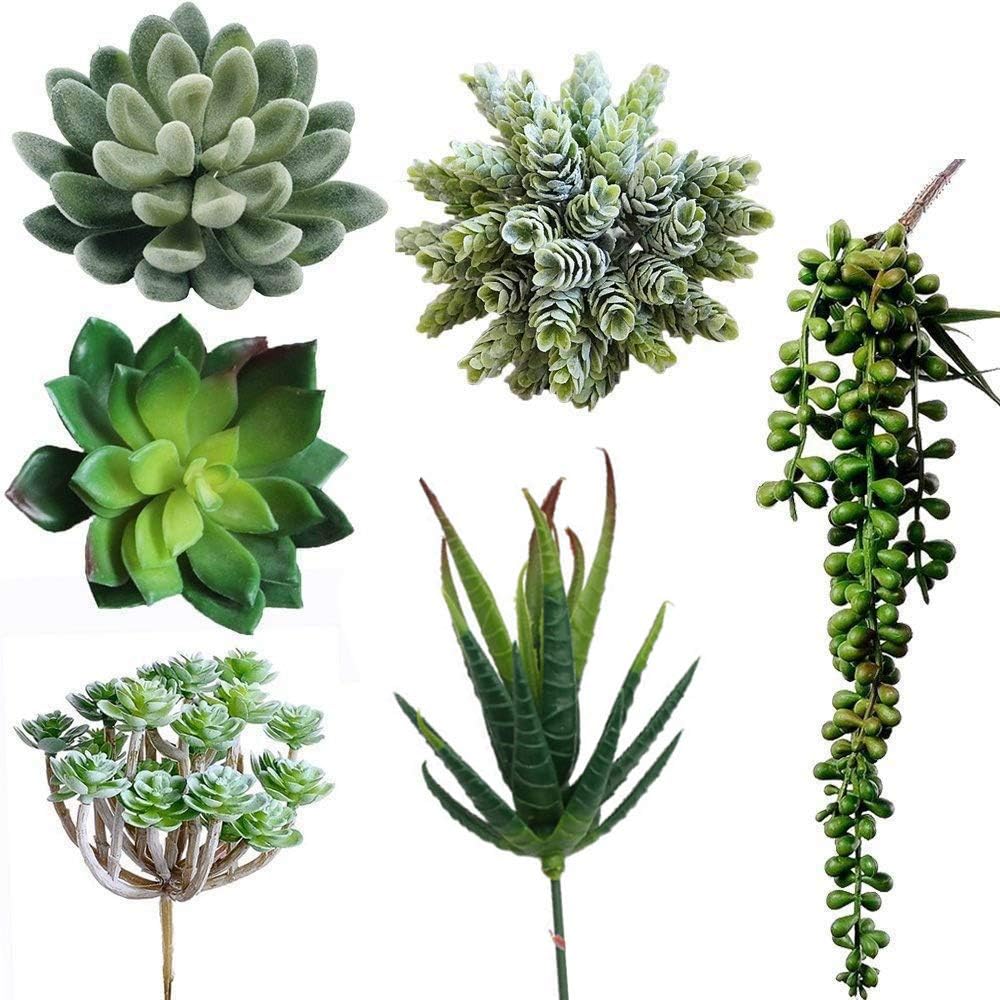 Piante artificiali Nrpfell 6PZ Piante Succulente Artificiale Paesaggio ...
