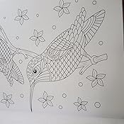 Simply Beautiful Hummingbirds: Adult Coloring Book (Premium Adult ...