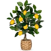 Amazon.com: Artificial Potted Plants 15.7 inches Fake Lemon Tree ...