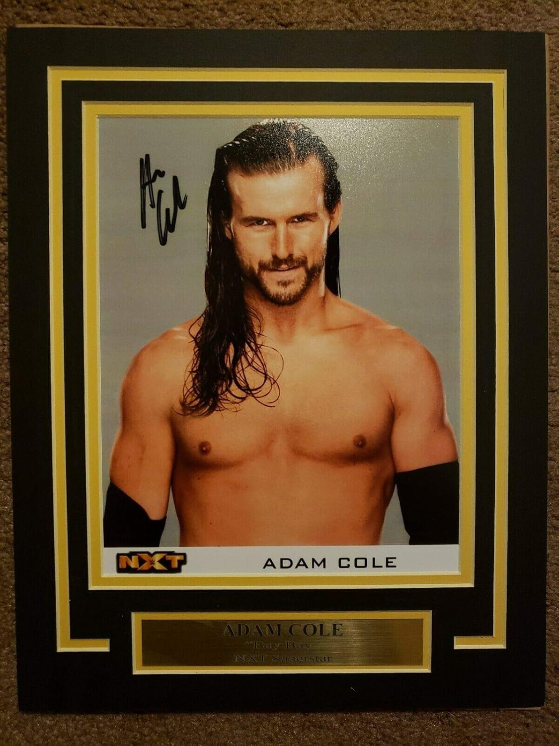 WWE NXT ADAM COLE UNDISPUTED ERA 11X14 Matted Namplate 8x10 PHOTO ...