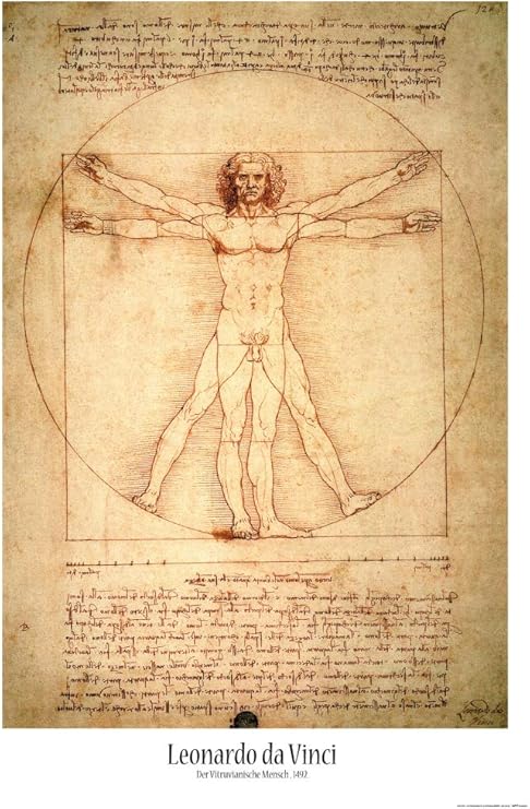 1art1 Leonardo Da Vinci Poster - Homme De Vitruve, vers 1490 (91 x 61 ...