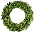 Amazon.com: Boxwood Wreath Large 16 inch Preserved Natural Boxwood ...