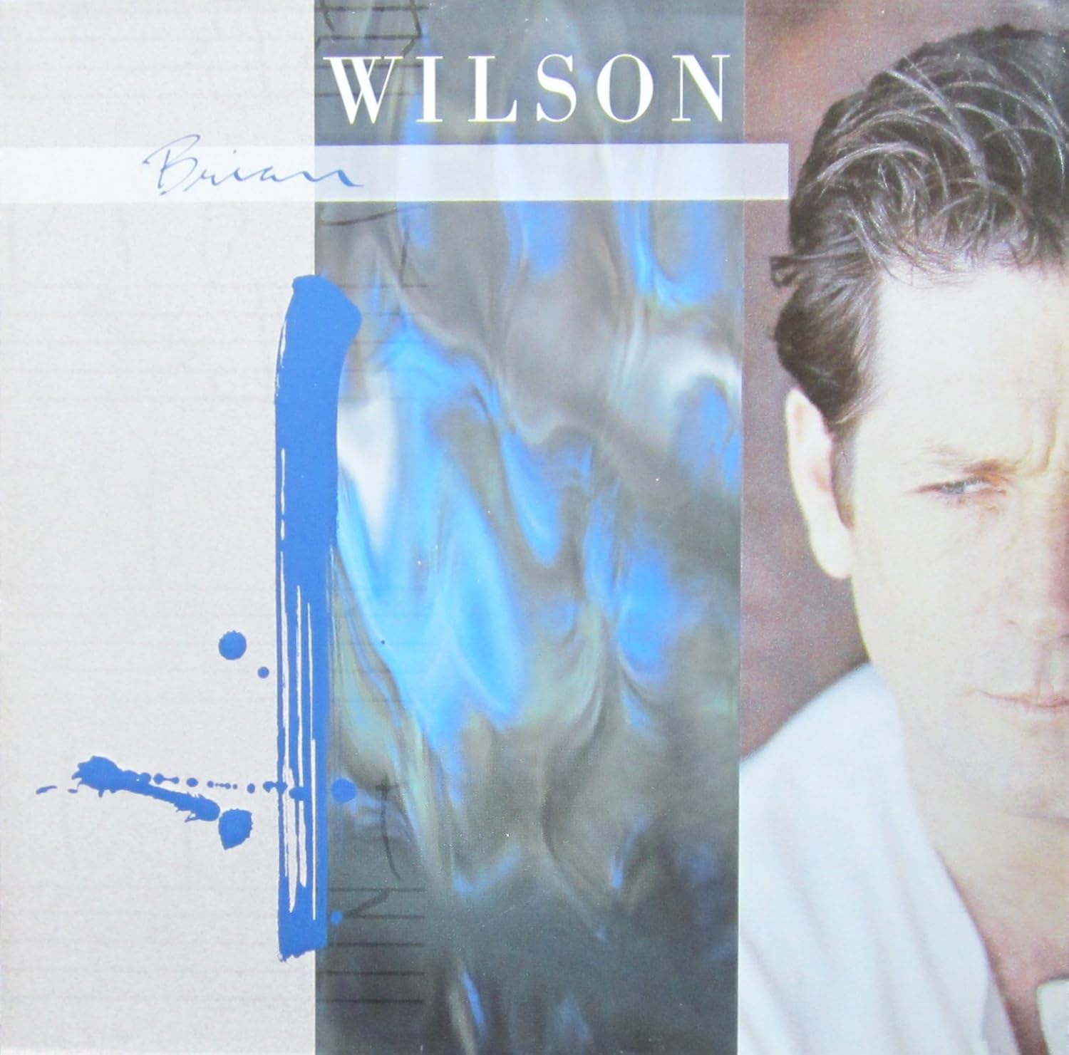 Brian Wilson - brian wilson LP - Amazon.com Music