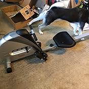 Sunny Health & Fitness SF-RW5606 Elastic Cord Rowing Machine Rower with ...