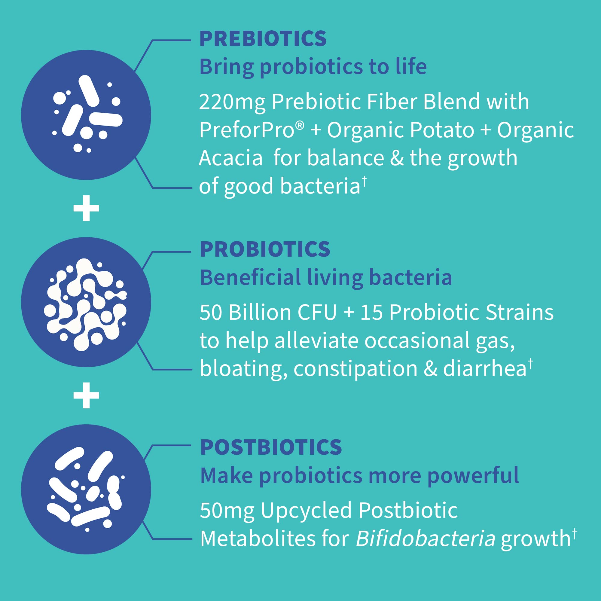 Mua Garden of Life Dr Formulated Once Daily 3-in-1 Complete Prebiotics ...