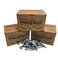 Mag Nails (3/4") - Amazon.com