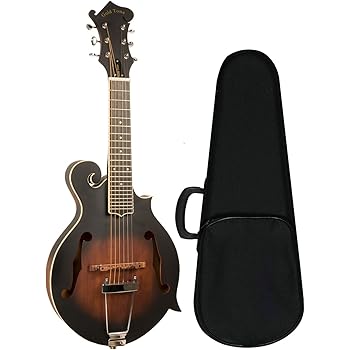 Amazon.com: Gold Tone F-Style 12-String Mando-Guitar w/ Hardshell Case ...