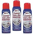 Amazon.com: LIFTER-1 Carpet Stain & Spot Remover 3 -Pack for Tough ...
