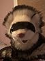 Amazon.com: Folkmanis Ferret Hand Puppet: Toys & Games