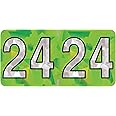 Amazon.com : 2024 Year Stickers, Doctor Stuff, Holographic Lime Green ...