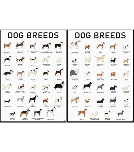 Dog Breed Chart Poster