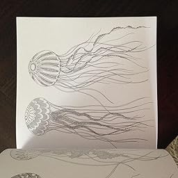 Animal Kingdom: Color Me, Draw Me: Amazon.ca: Millie Marotta: Books