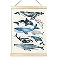 Amazon.com: TAEDIN Whales Ocean Animal Chart Poster Hanger Frame ...