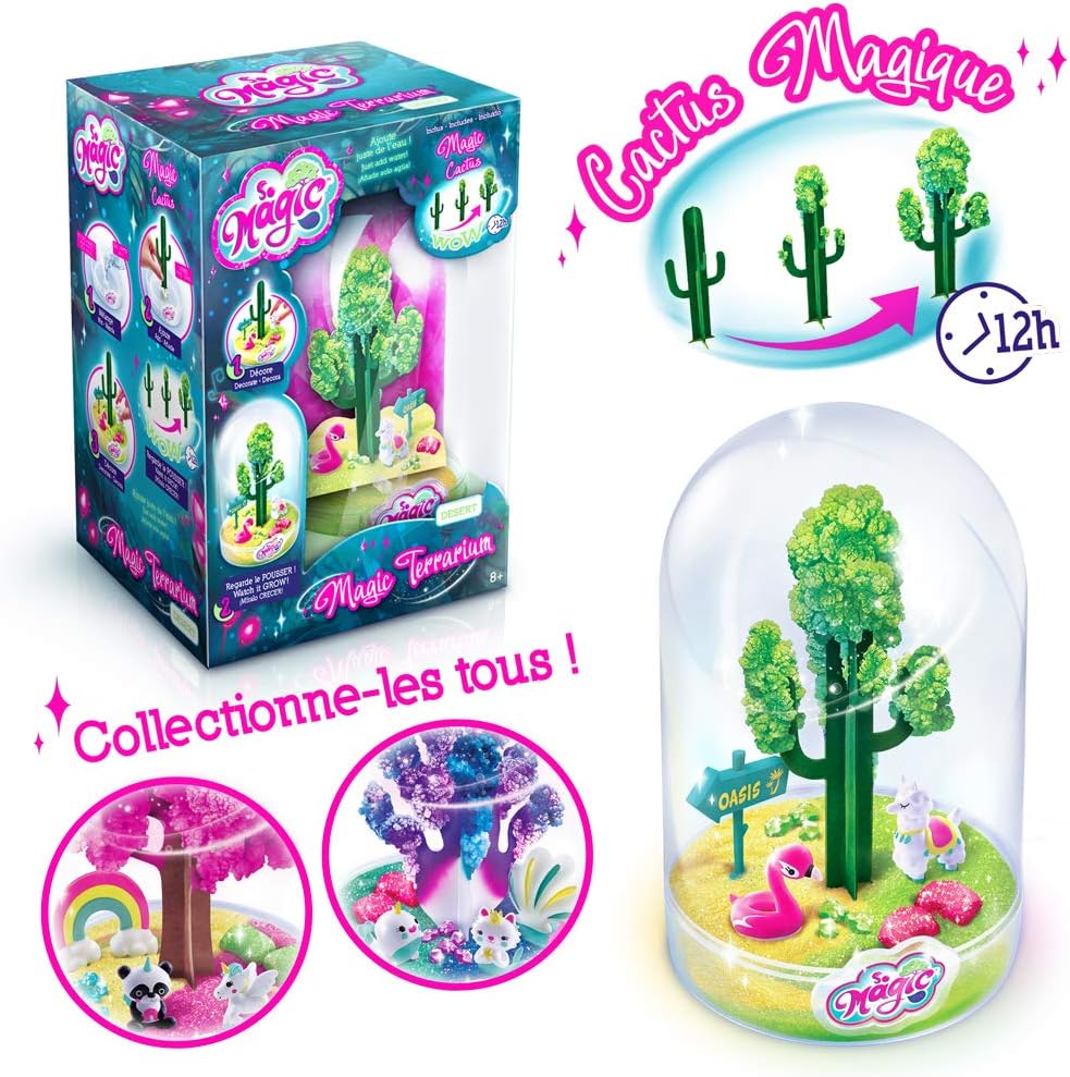 Canal Toys MSG 010 So Magic Large Terrarium Desert – BigaMart