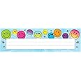 Amazon.com: Teacher Created Resources Brights 4Ever Flat Name Plates ...