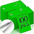 Amazon.com : 100 Pieces Plastic Shipping Tags with Wires Blank Labeling ...