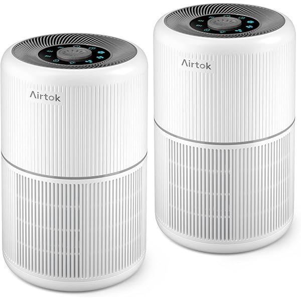 Personal Air Purifier Smoke Trap | Personal Air Filter (Sploof) - ECO ...