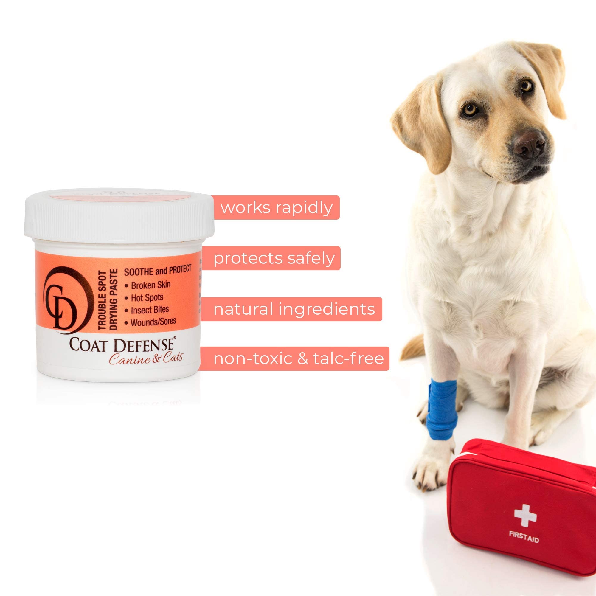 Mua COAT DEFENSE Trouble Spot Drying Paste - Made in USA - 5 Oz Dog ...
