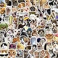 Amazon.com: 100PCS Cat Meme Stickers,Funny Cat Stickers for Kids Teens ...