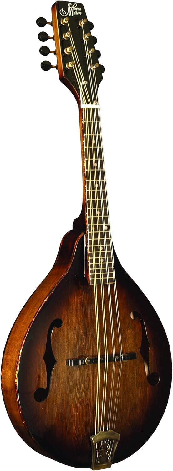 Amazon.com: Morgan Monroe MAM-750 Mandolin, Walnut: Musical Instruments