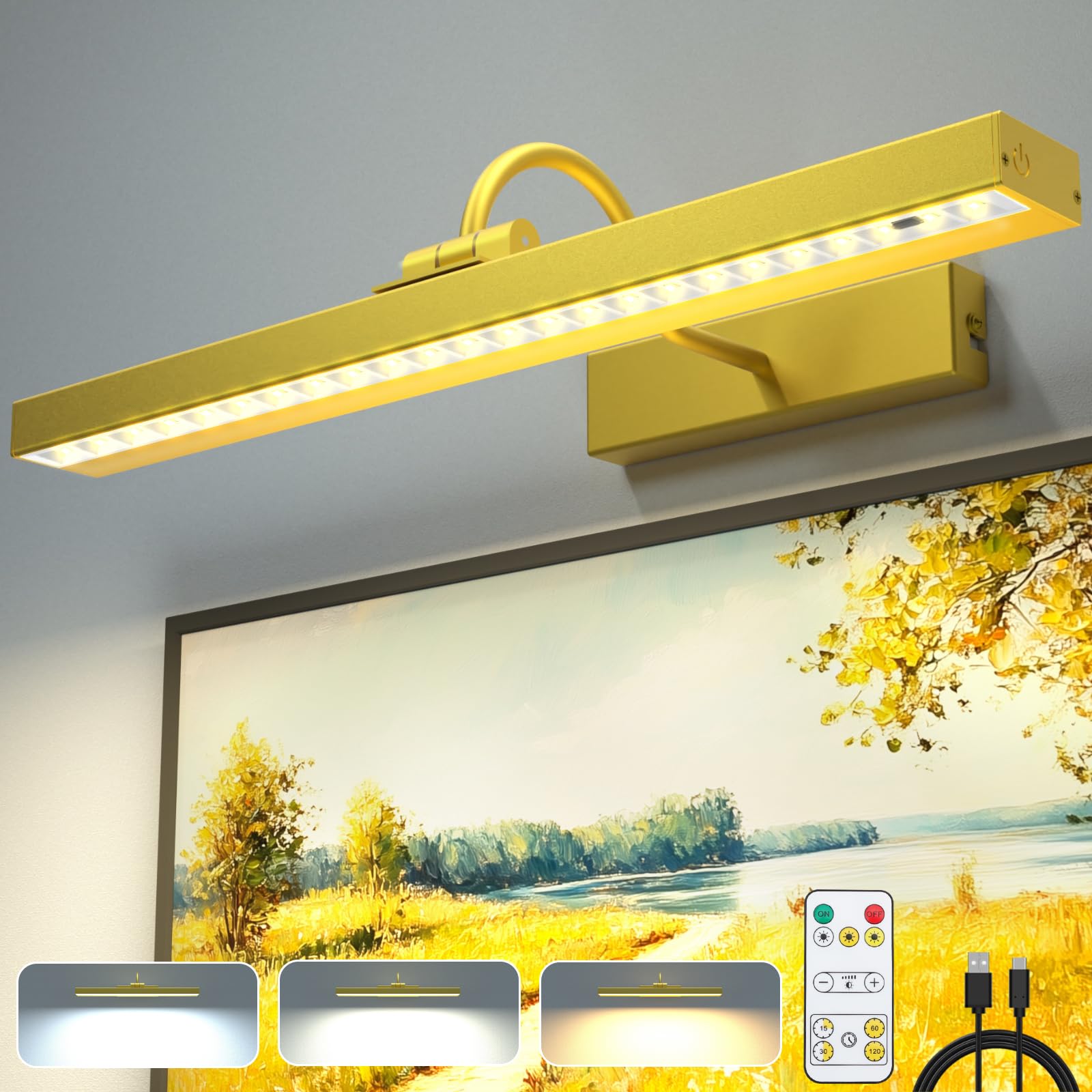 Wireless Picture Light, 16.7in Battery Operated Picture Lights for Wall ...