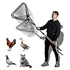 Animal Catch Net, Poultry Catching Control Pole, Farm Trap Tools ...