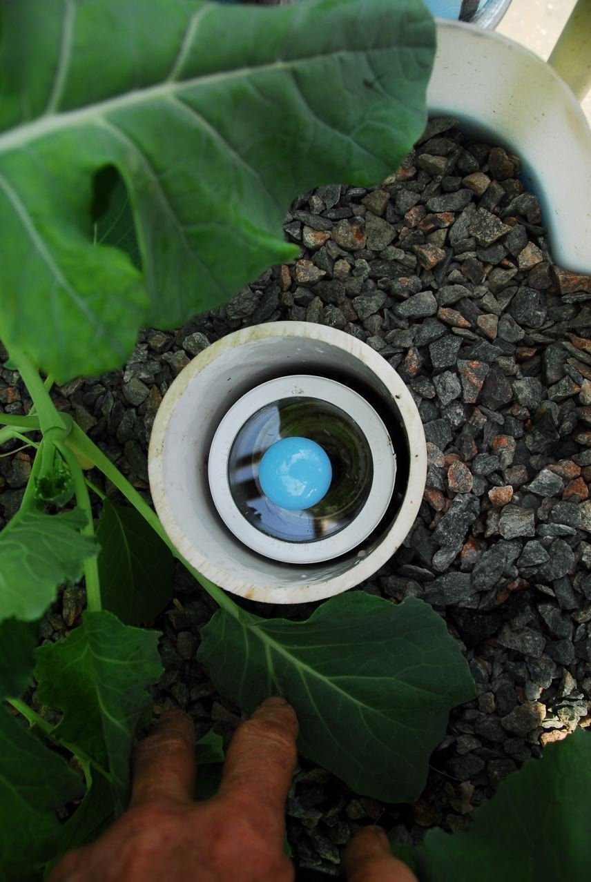 Mua Aquaponics CLEAR TOP Bell Siphon Kit For IBC Growbed with12" MEDIA ...