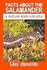 Facts About the Salamander (A Picture Book For Kids) in Kuwait | Whizz ...
