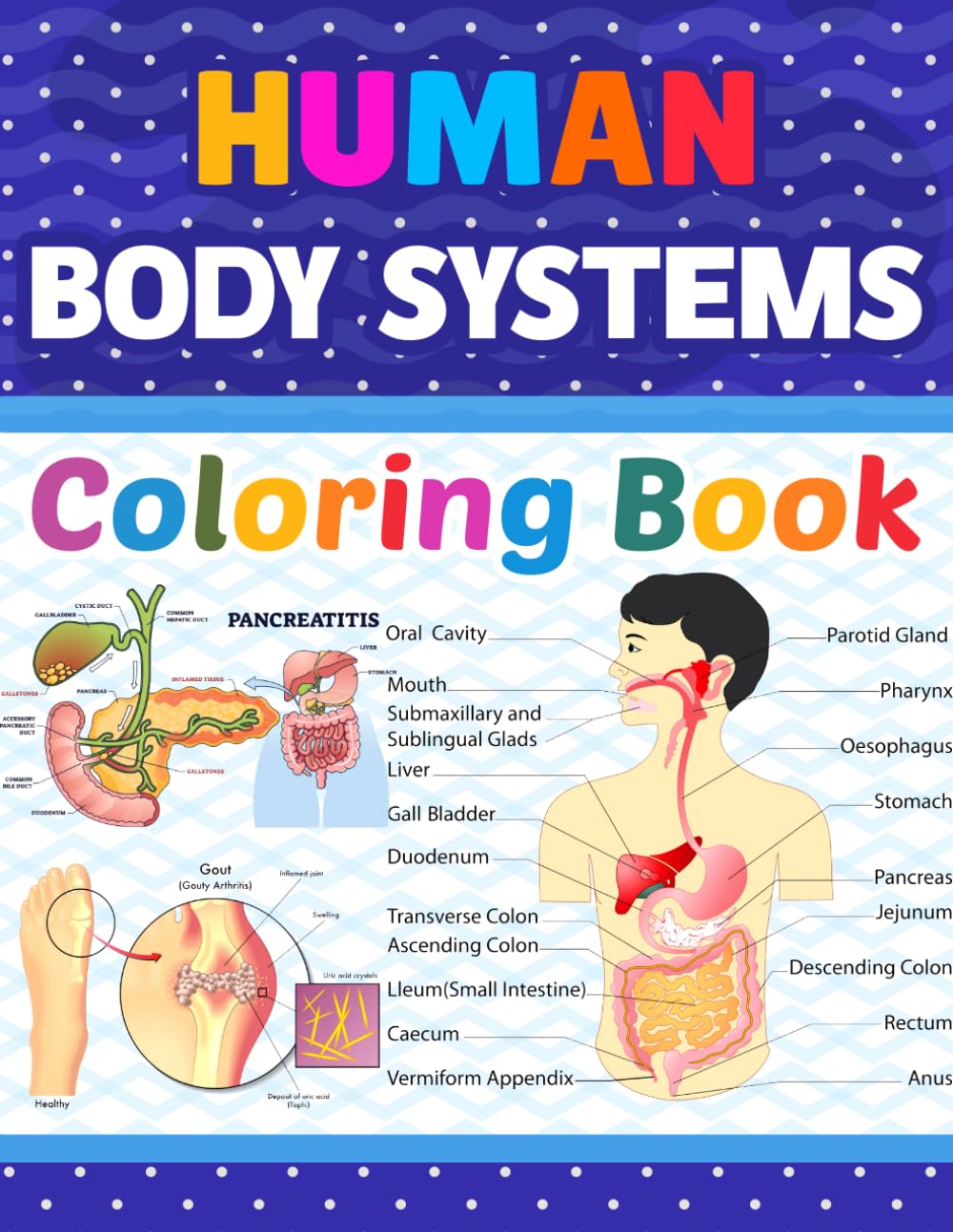 Mua Human Body Systems Coloring Book: Human Body Systems Coloring Book ...