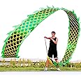 Amazon.com: 3D Dragon Poi with 340g Weighted Ball & 1.1 Meters Swing ...