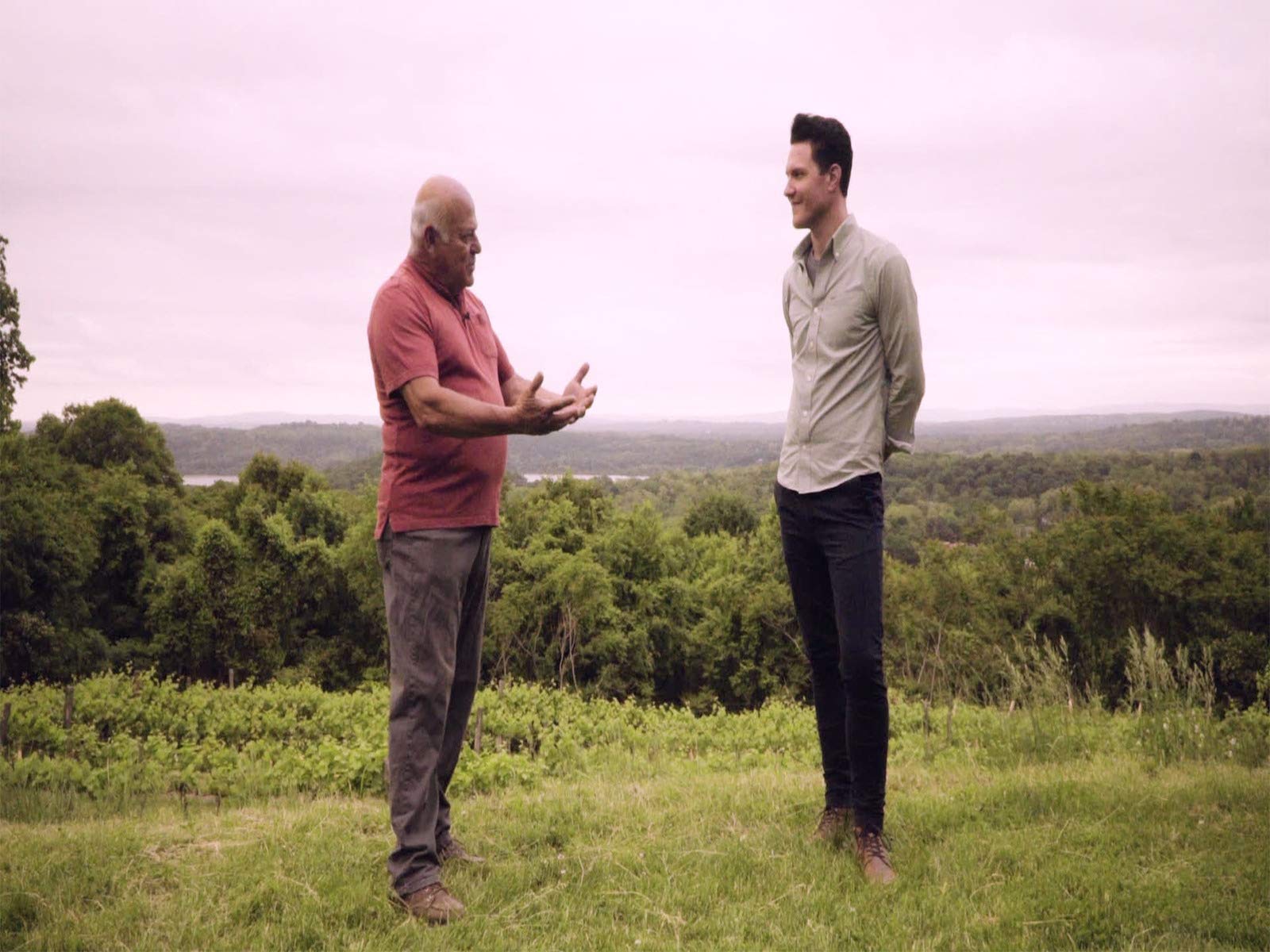 Watch Wine Whoopee with Brandon Anders | Prime Video